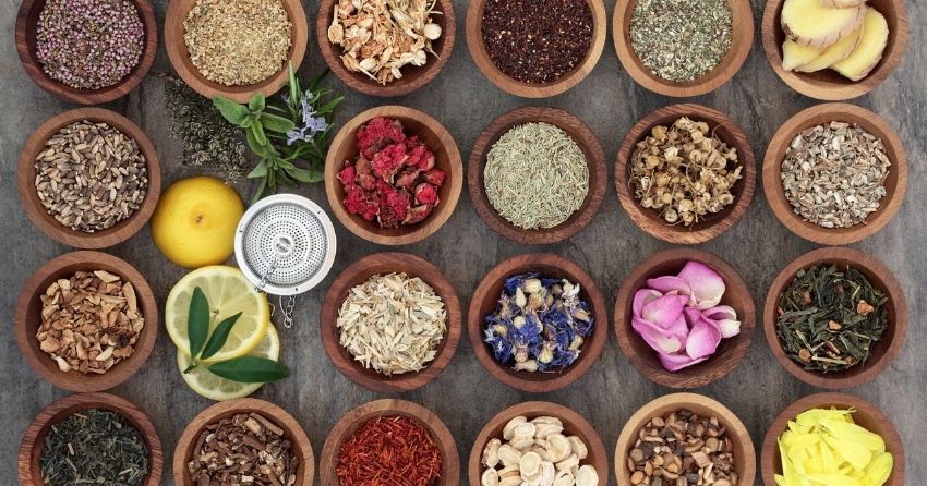 Corylin, a Chinese Herb-Derived Compound, Extends Lifespan in Aged Mic ... Corylin, a Chinese Herb-Derived Compound, Extends Lifespan in Aged Mic ...