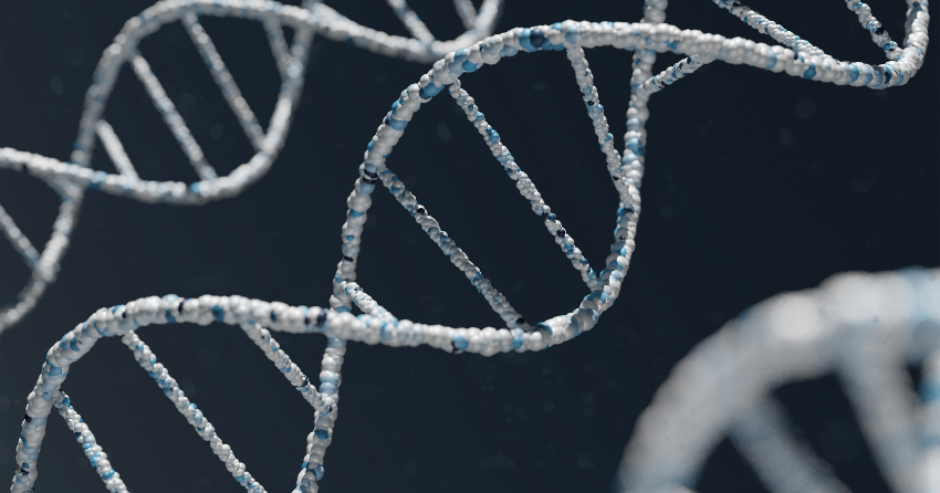 Repairing DNA Damage: A Surprising New Benefit of Melatonin ...