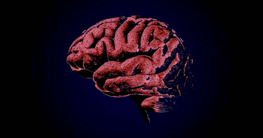 These 7 Things Are Killing Your Brain – ProHealth.com