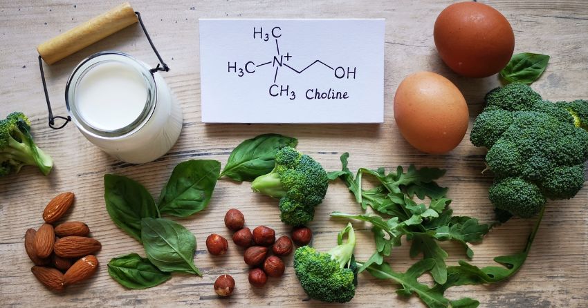 Choline Deficiency May Be Missing Link to Age-Related Brain Decline ...