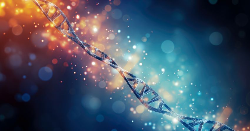 How Does NMN Work? The Science Behind NAD+ and NMN – ProHealth.com