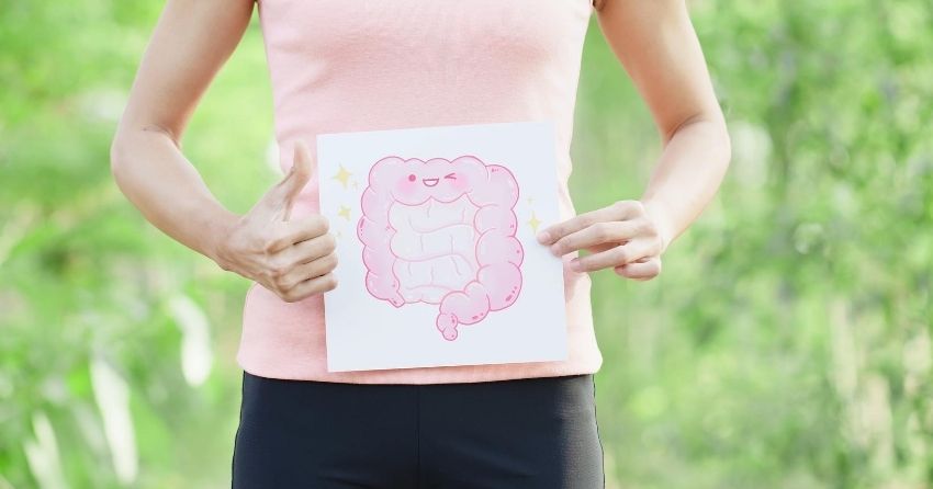 Cómo una molécula puede reparar y regenerar el revestimiento intestinal ...