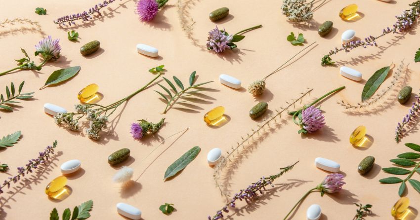 A Guide To Understanding Adaptogens – ProHealth.com