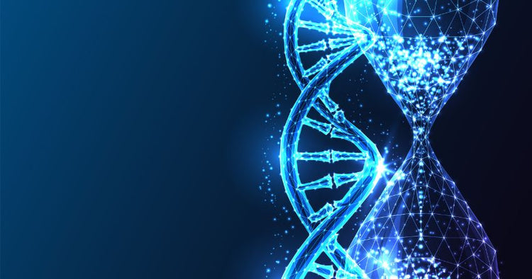 The Basics of Epigenetic Age Testing and How to Use It to Support Long ...