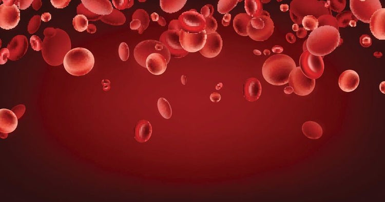 Study Finds Diluting Plasma Reverses Aging in Older Mice – ProHealth.com