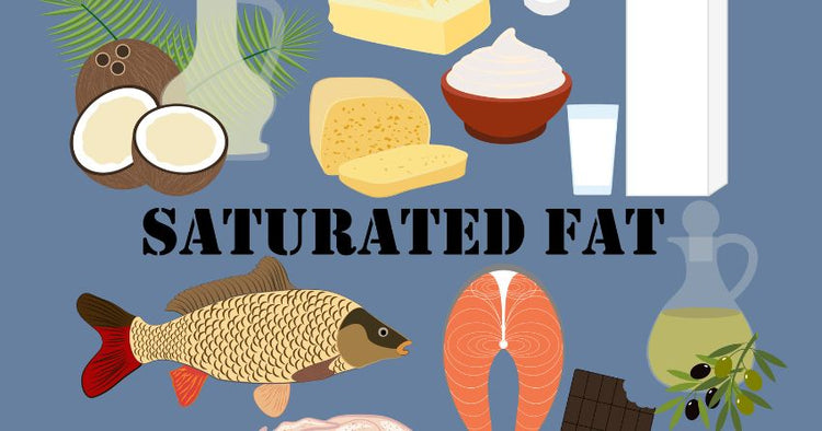 Diet High in Saturated Fat Reprograms Immune Cells in Good and Bad Way ...